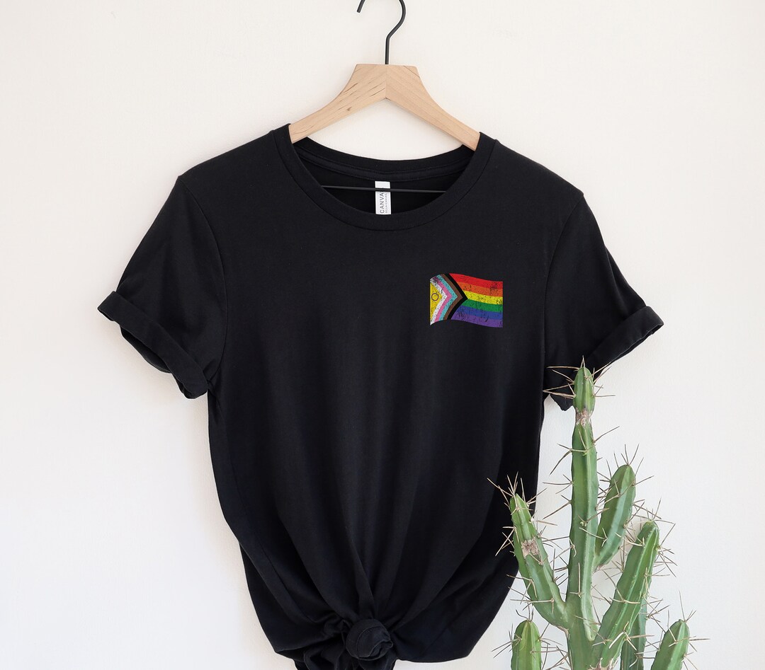 LGBT Pride Rainbow Flag Shirt, Gender Social Justice Human Rights Shirt ...
