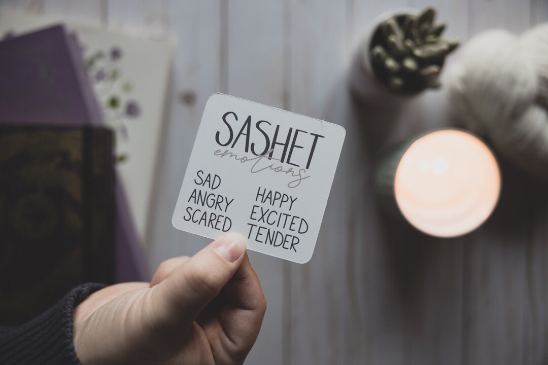 SASHET Emotions Reference Planner Card - Feeling and Mood Check-in List ...