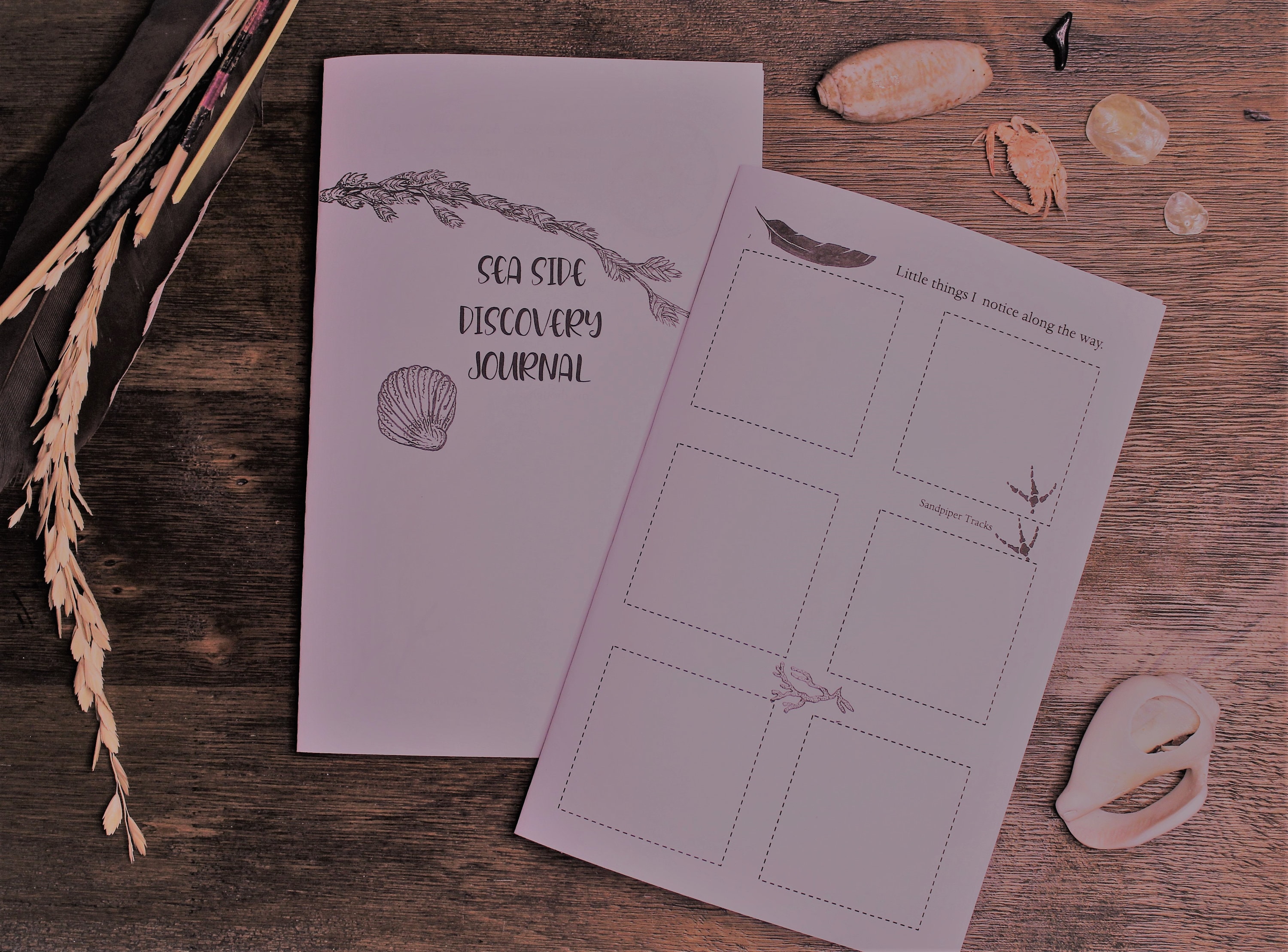 Sea Side Discovery Journal - Etsy