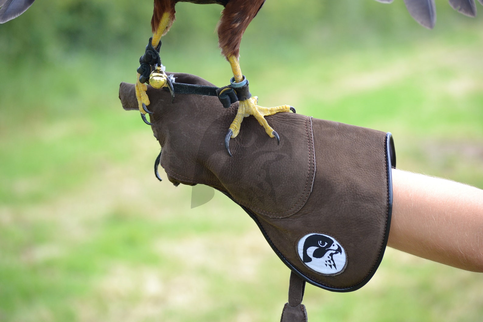 Nubuck Double Layer Fur Lined Falconry Glove Green Brown | Etsy