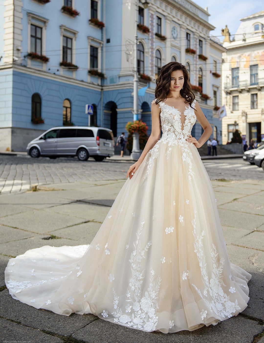 Floral Wedding Dress, Deep V Fairy Bridal Dress, Ivory Embroidered ...