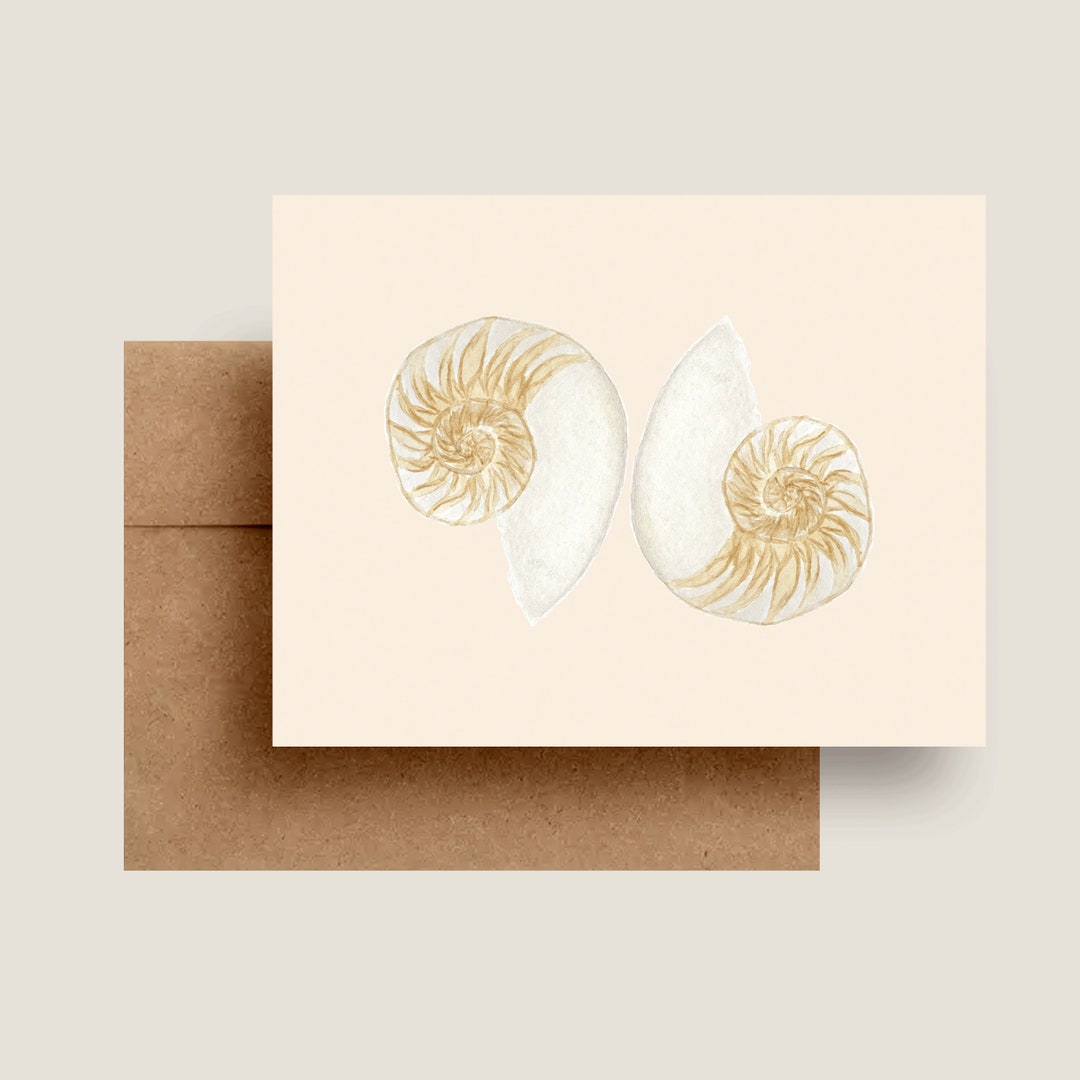 Seashell Cards - Beach Seashells - Beach Greeting Cards - Beach Card ...