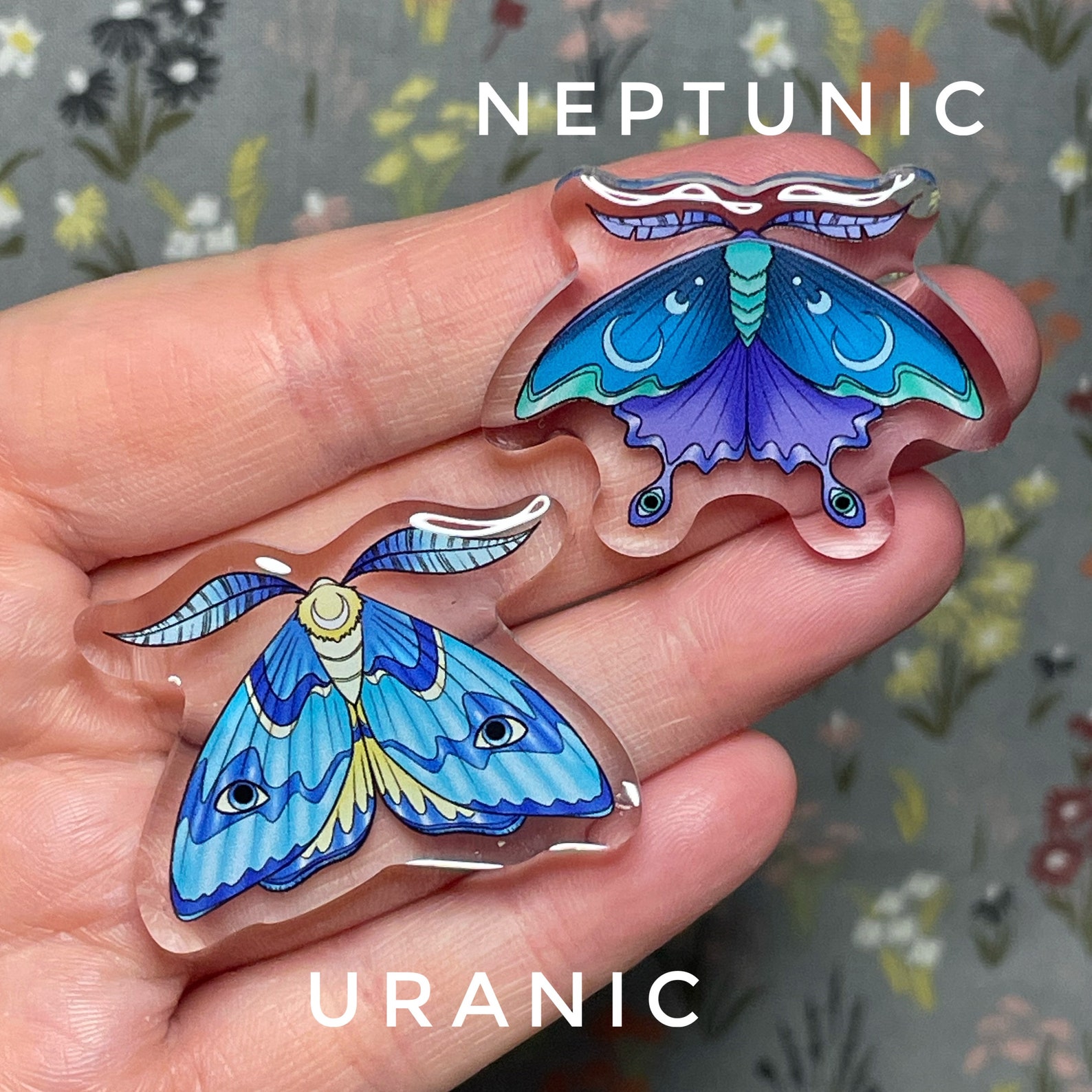 Pride Moth Pin sexualities Acrylic Pin Moth Pins - Etsy