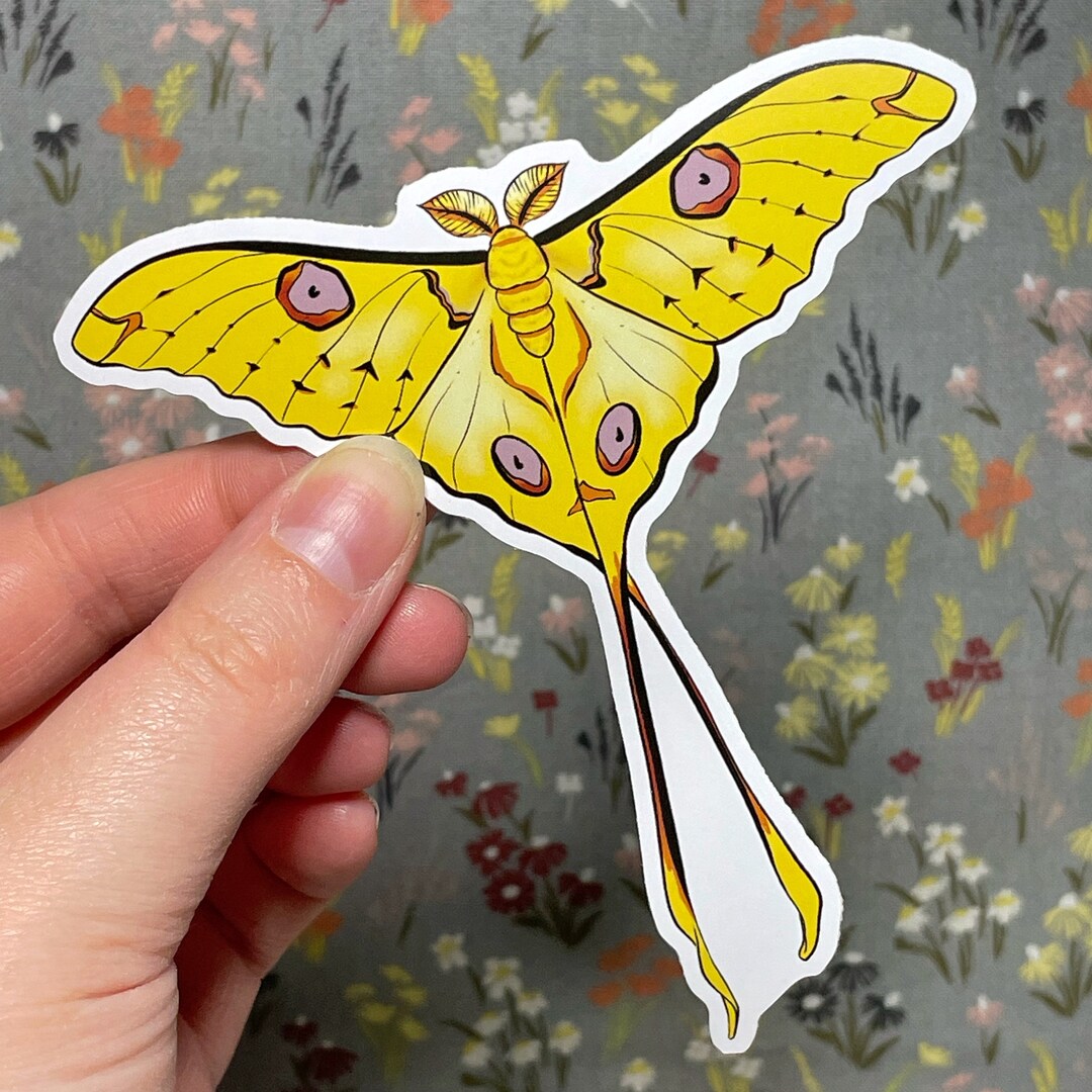 Comet Moth Sticker | Large Vinyl Stickers - Etsy