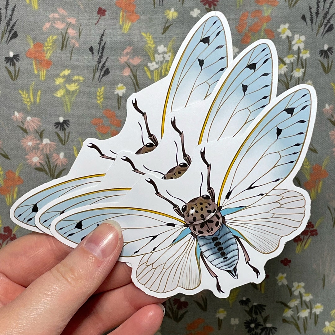 Cicada Sticker | Large Vinyl Stickers - Etsy