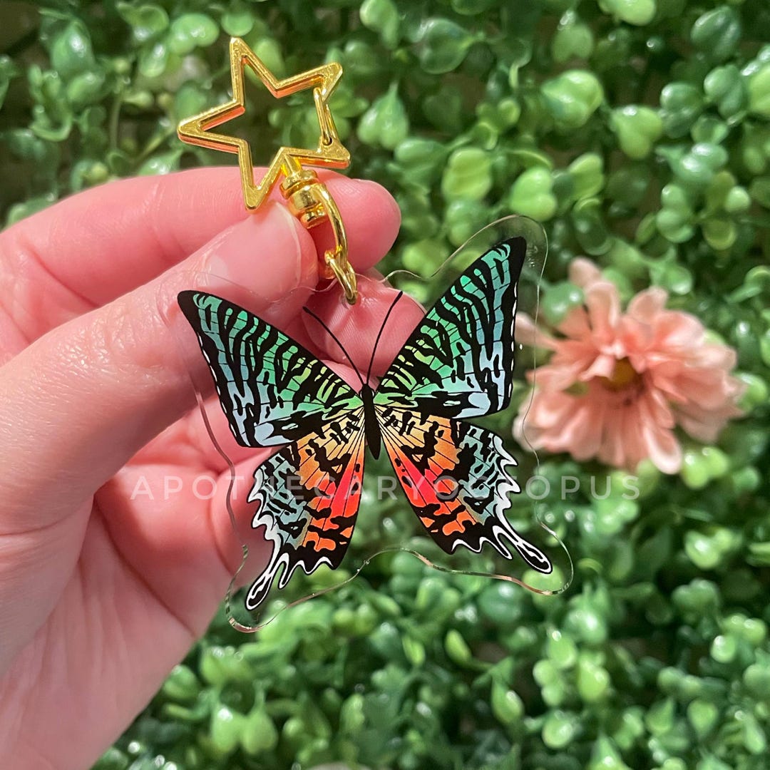 Madagascar Sunset Moth Mini Keychain | 2 Inch Acrylic Keychain - Etsy