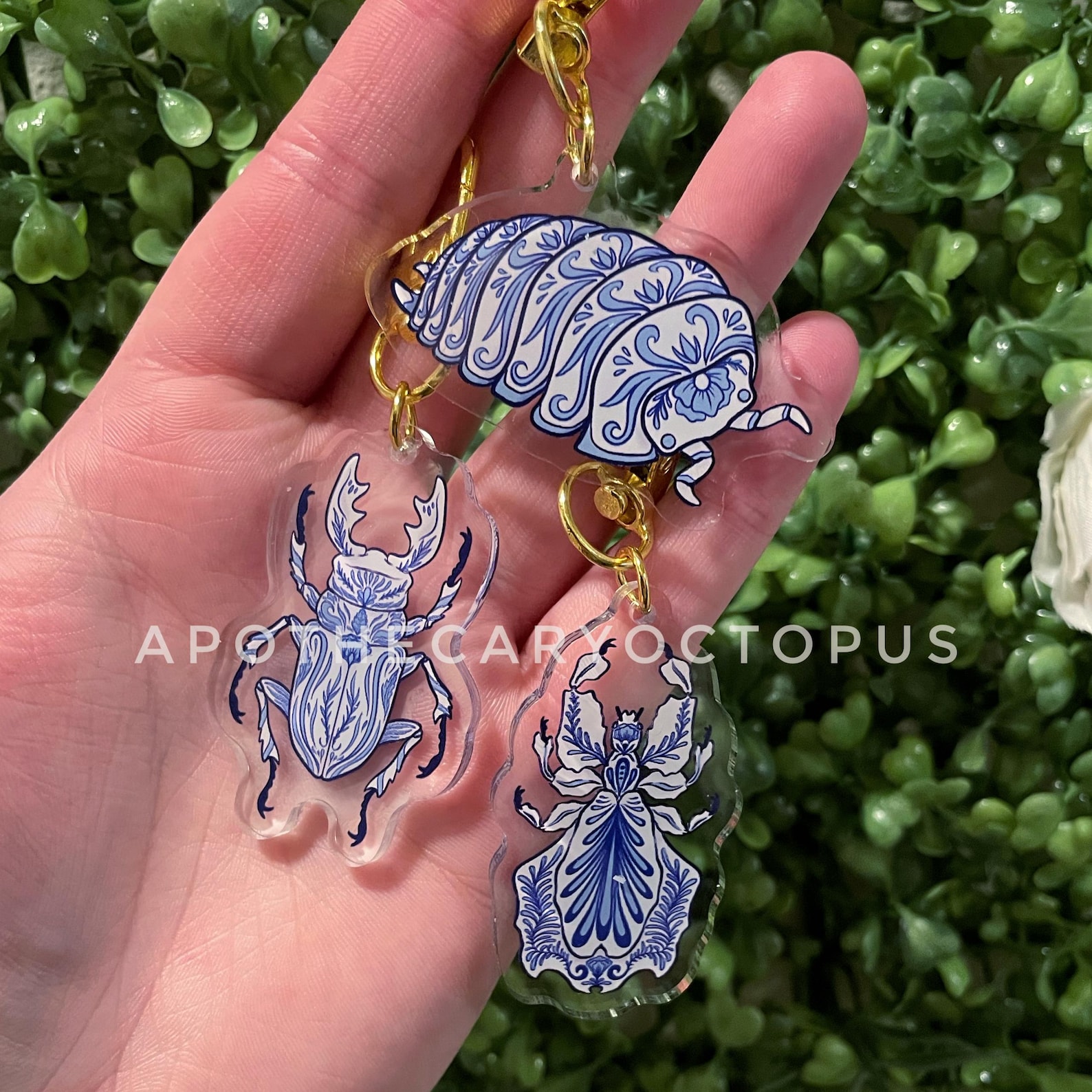 Mystery Porcelain Insect Keychains | 2 Inch Acrylic Charms - Etsy