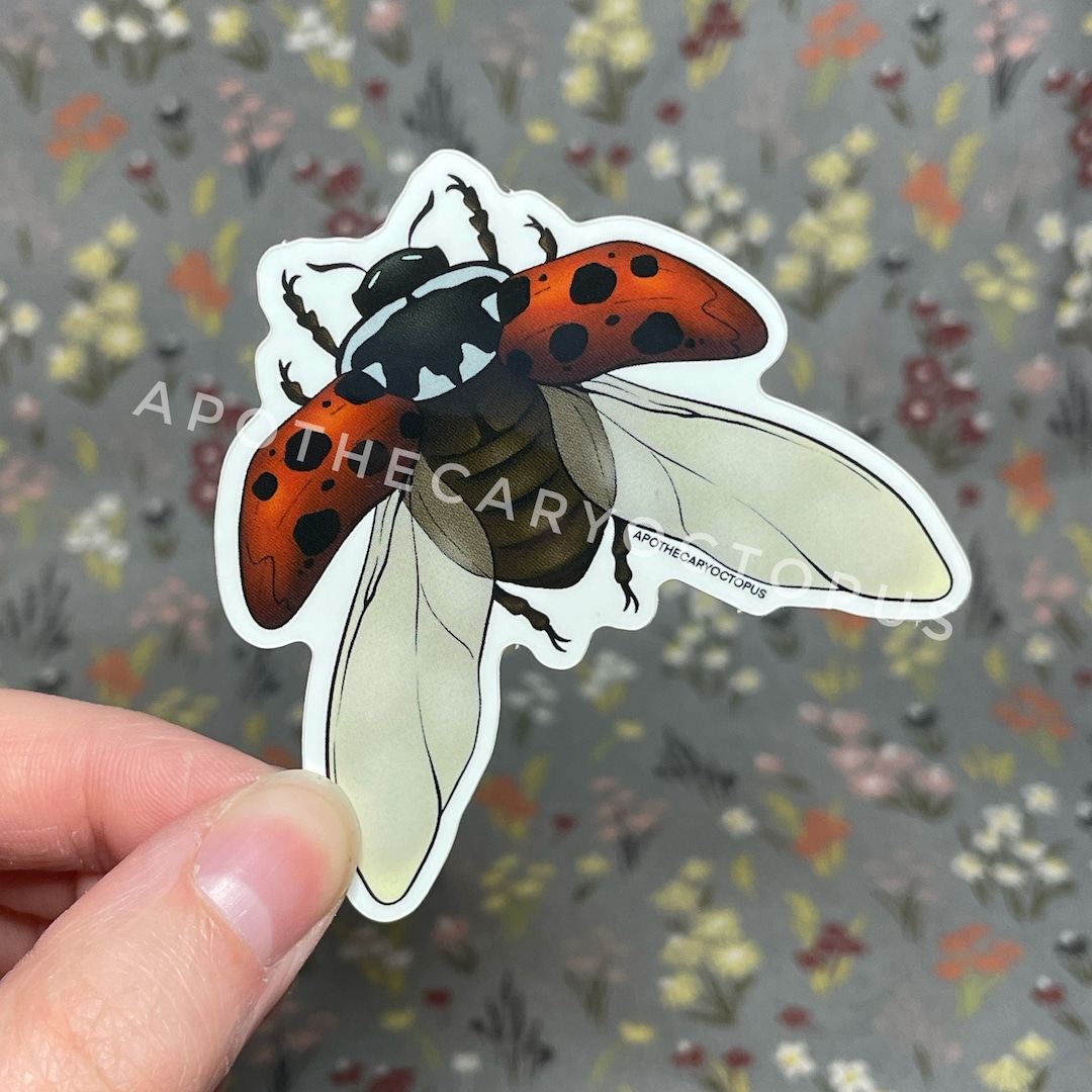 Ladybug Sticker | 3" Waterproof Vinyl - Etsy