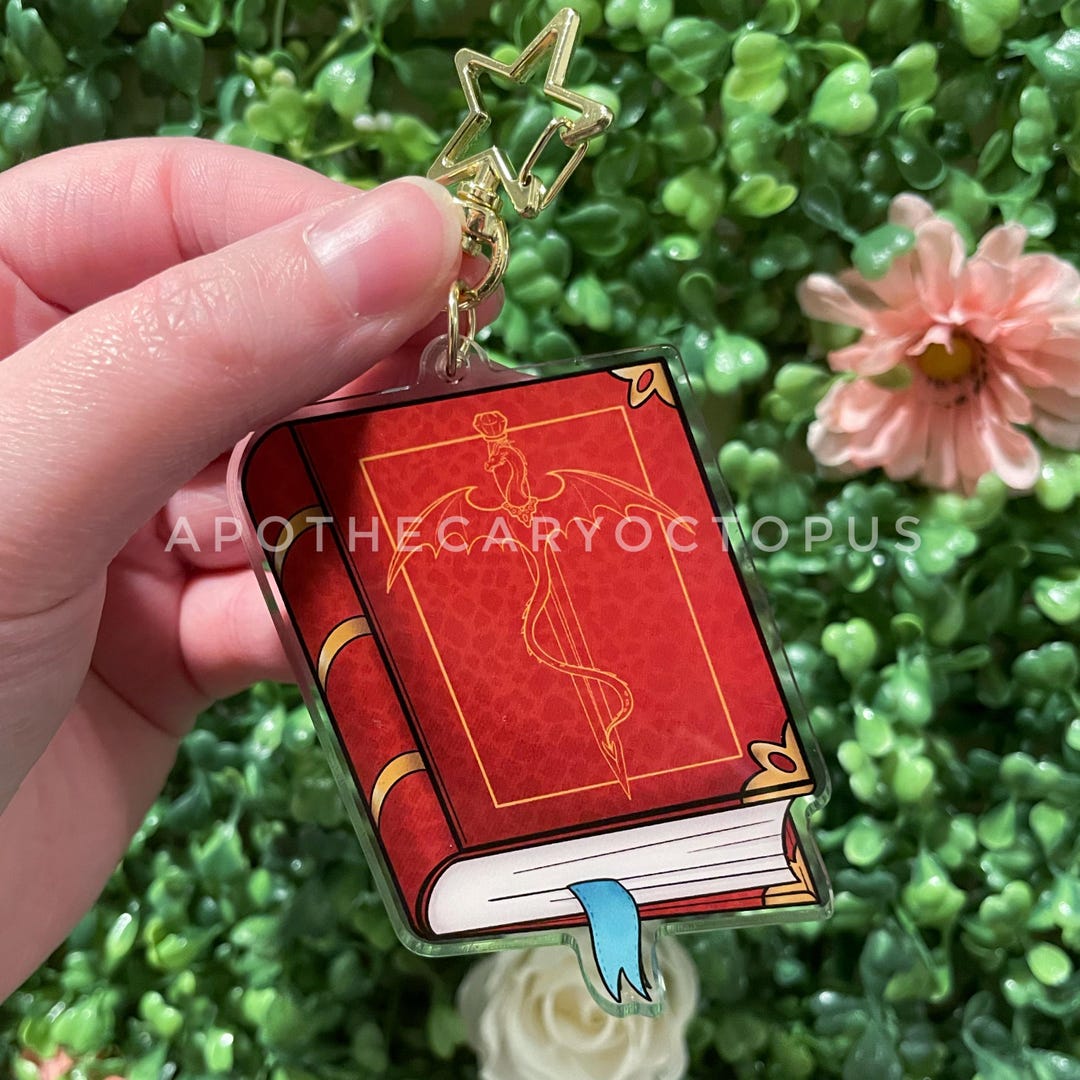 Bookwyrm Shaker Keychain - Etsy