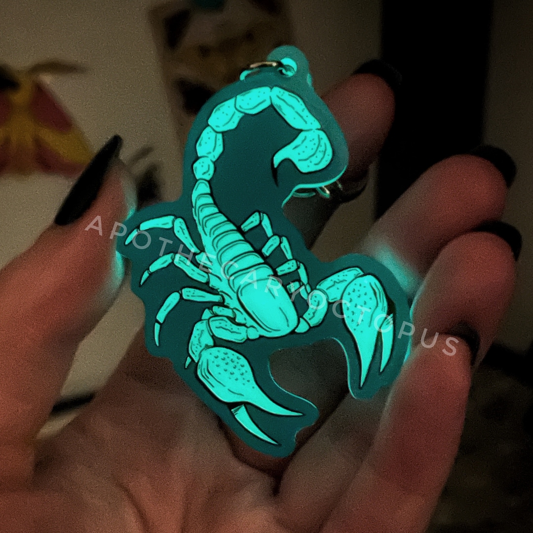 Scorpion Glow-in-the-dark Keychain - Etsy