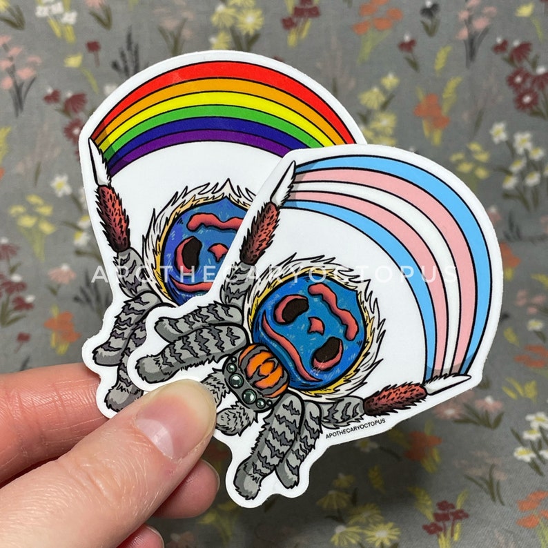 Jumping Pride Spider Trans Pride LGBTQIA - Etsy