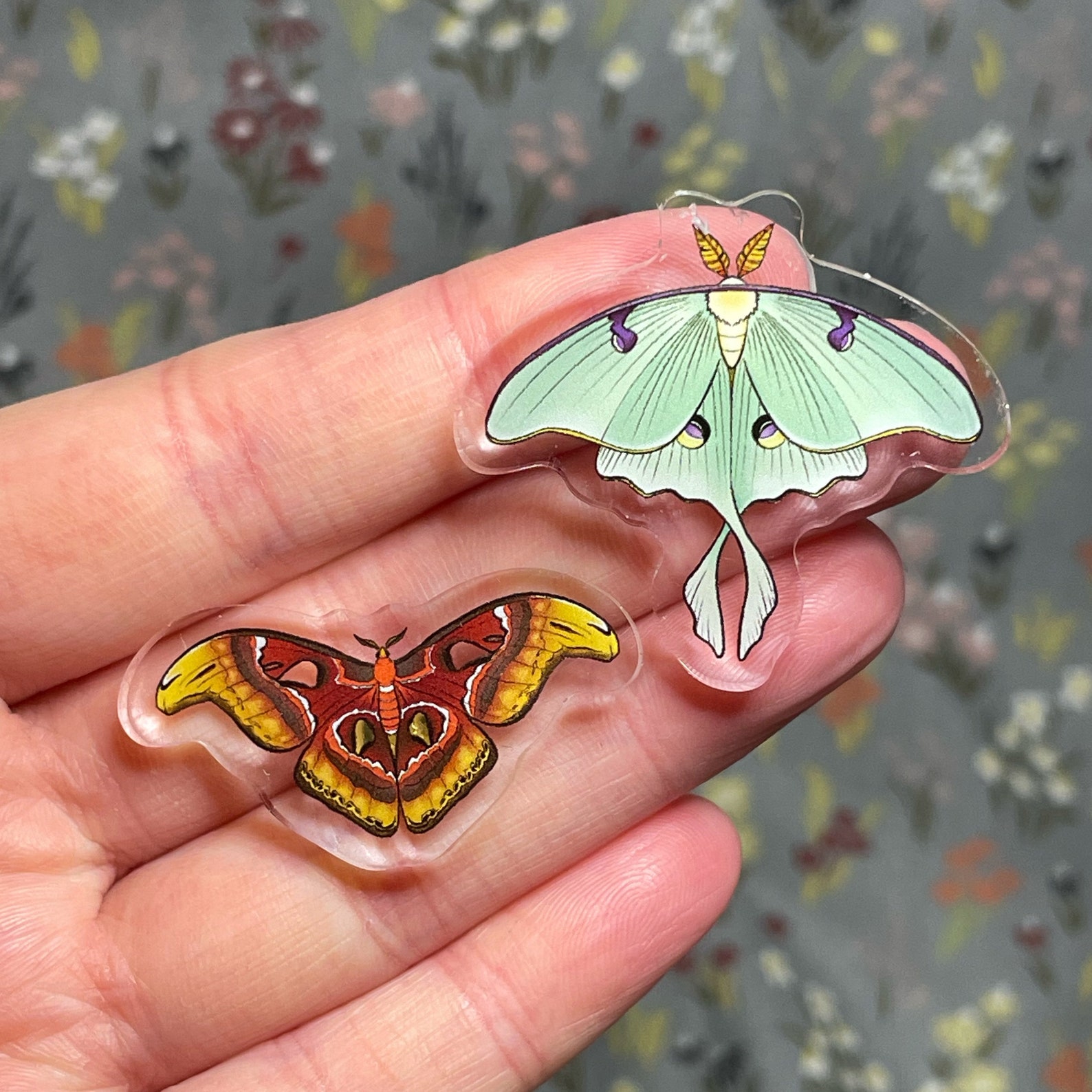 Bug Pin Collection Moth Beetle Acrylic Pins - Etsy