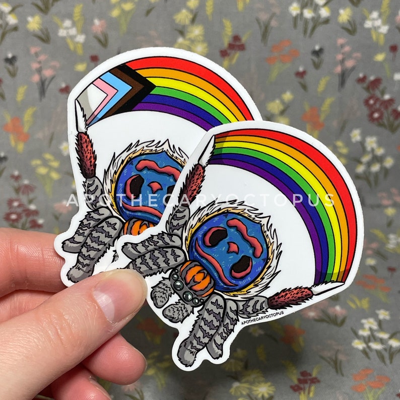 Jumping Pride Spider Trans Pride LGBTQIA - Etsy