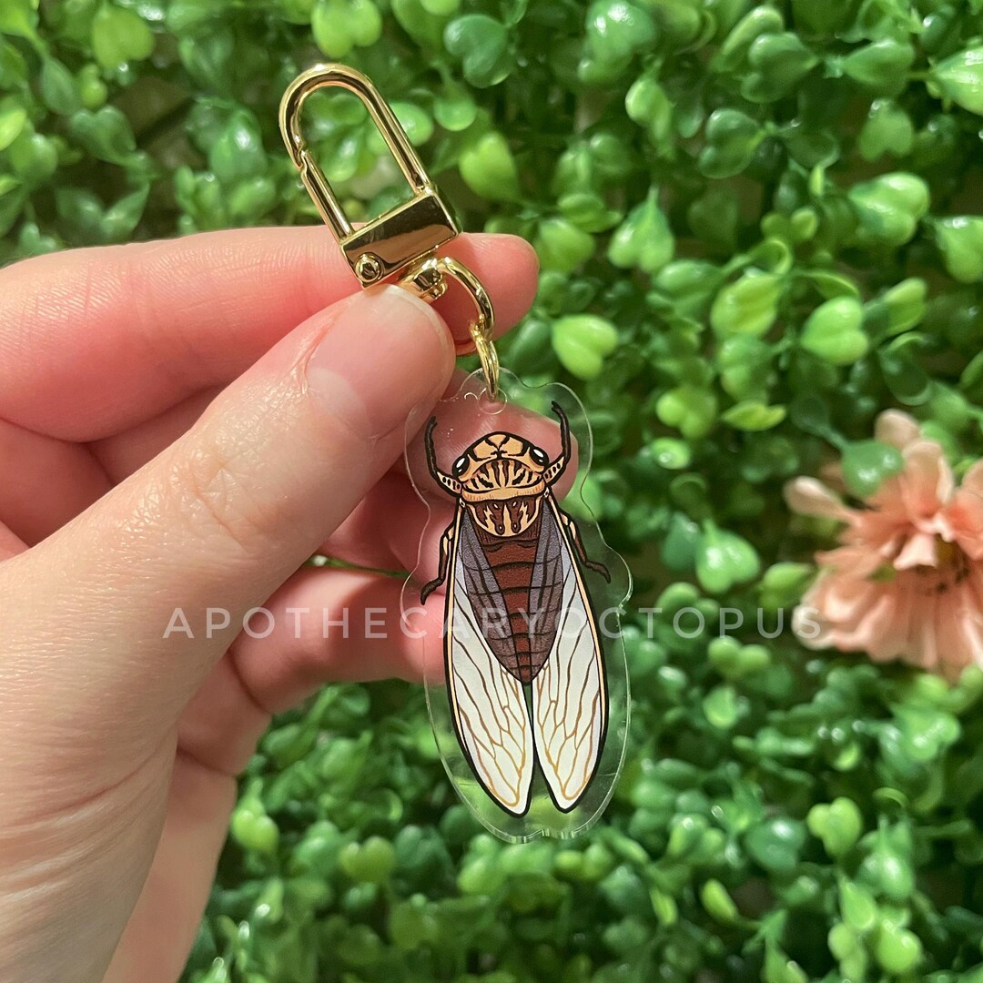 Mini Cicada Keychain | 2 Inch Mini Charm - Etsy