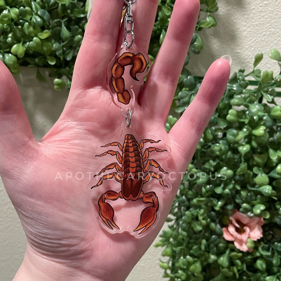 Scorpion Two Part Keychain - Etsy