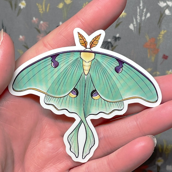 Luna Moth Sticker 3 Sticker Vinyl Stickers | Etsy