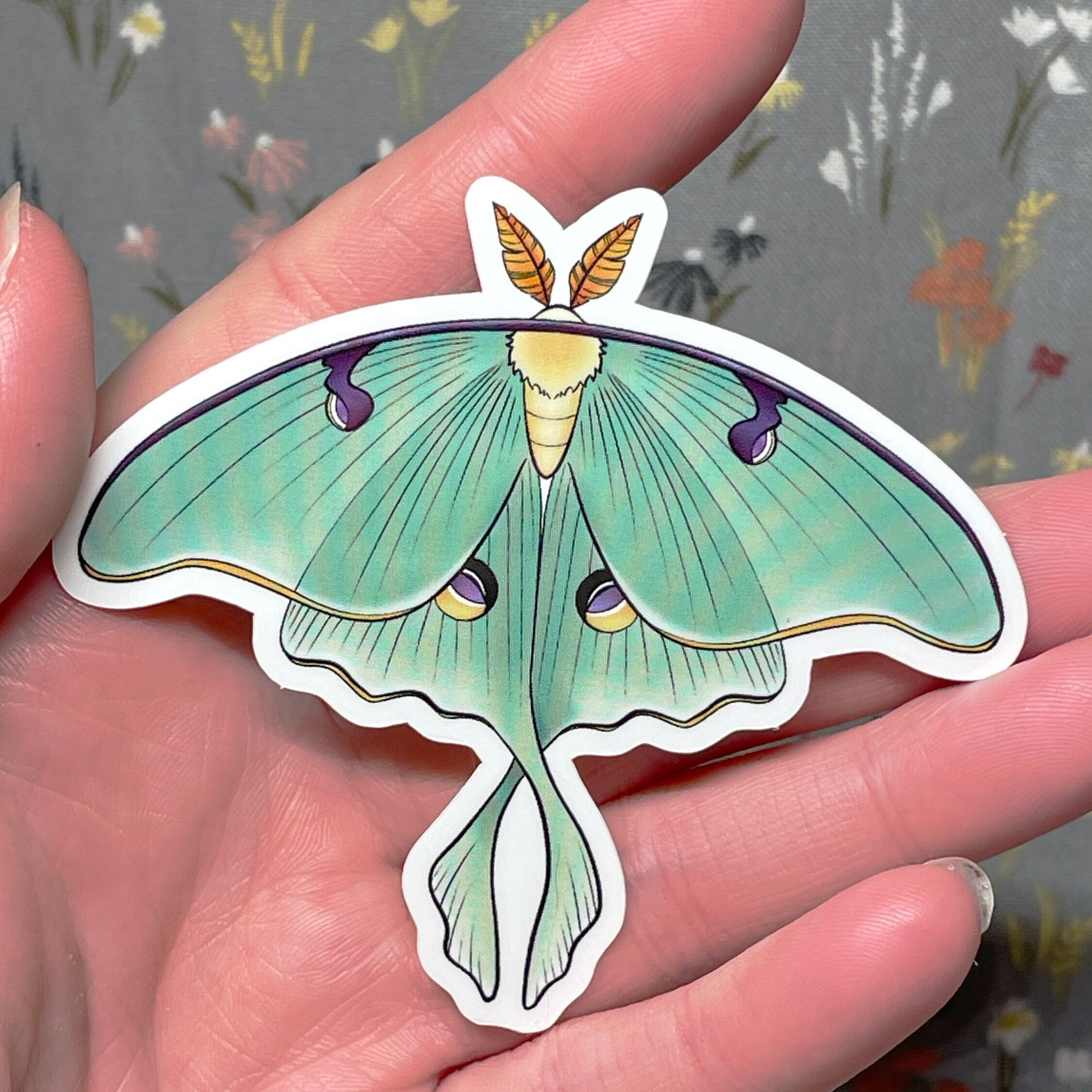 Luna Moth Sticker 3 Sticker Vinyl Stickers - Etsy