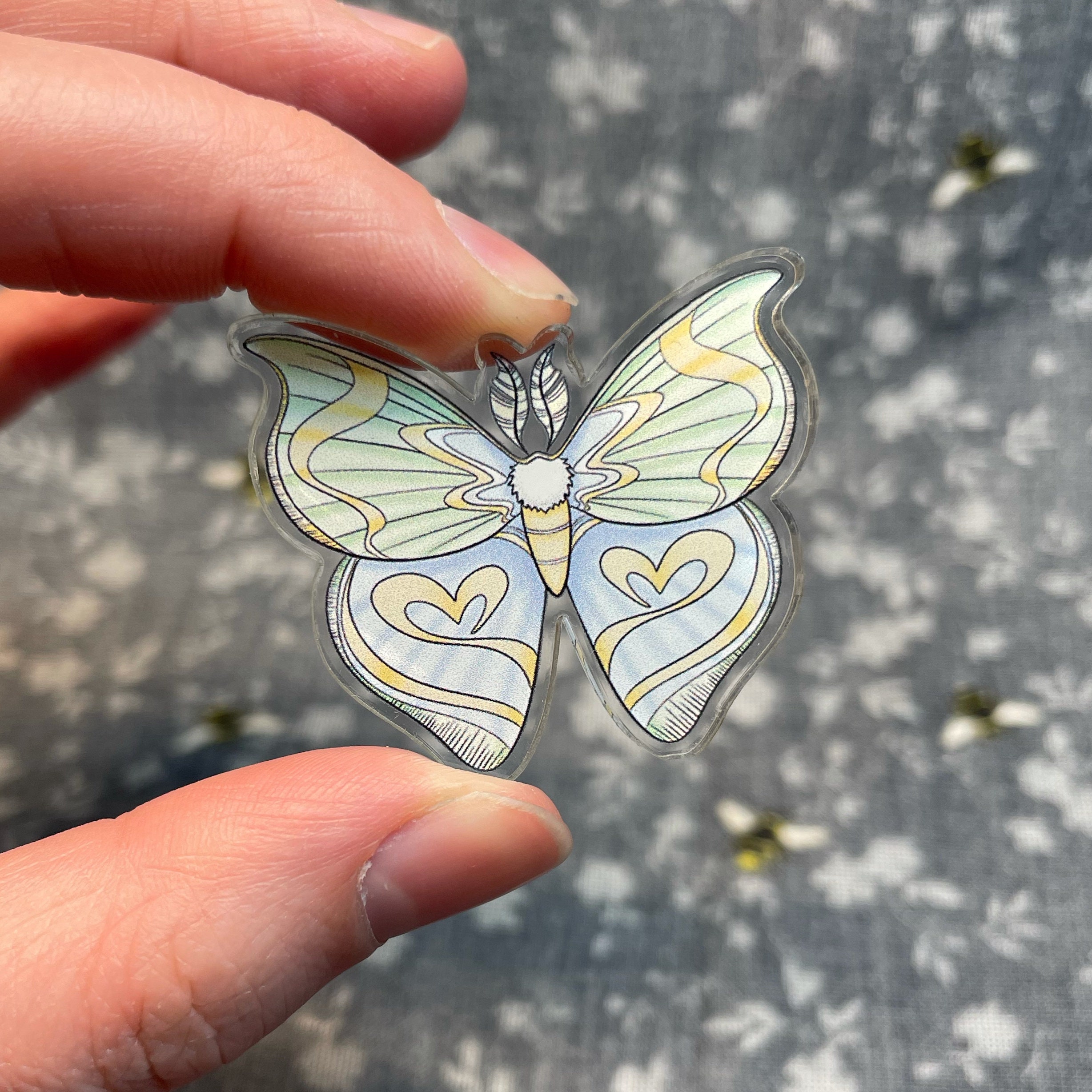 Pride Moth Pin genders Acrylic Pin Moth Pins Insect - Etsy