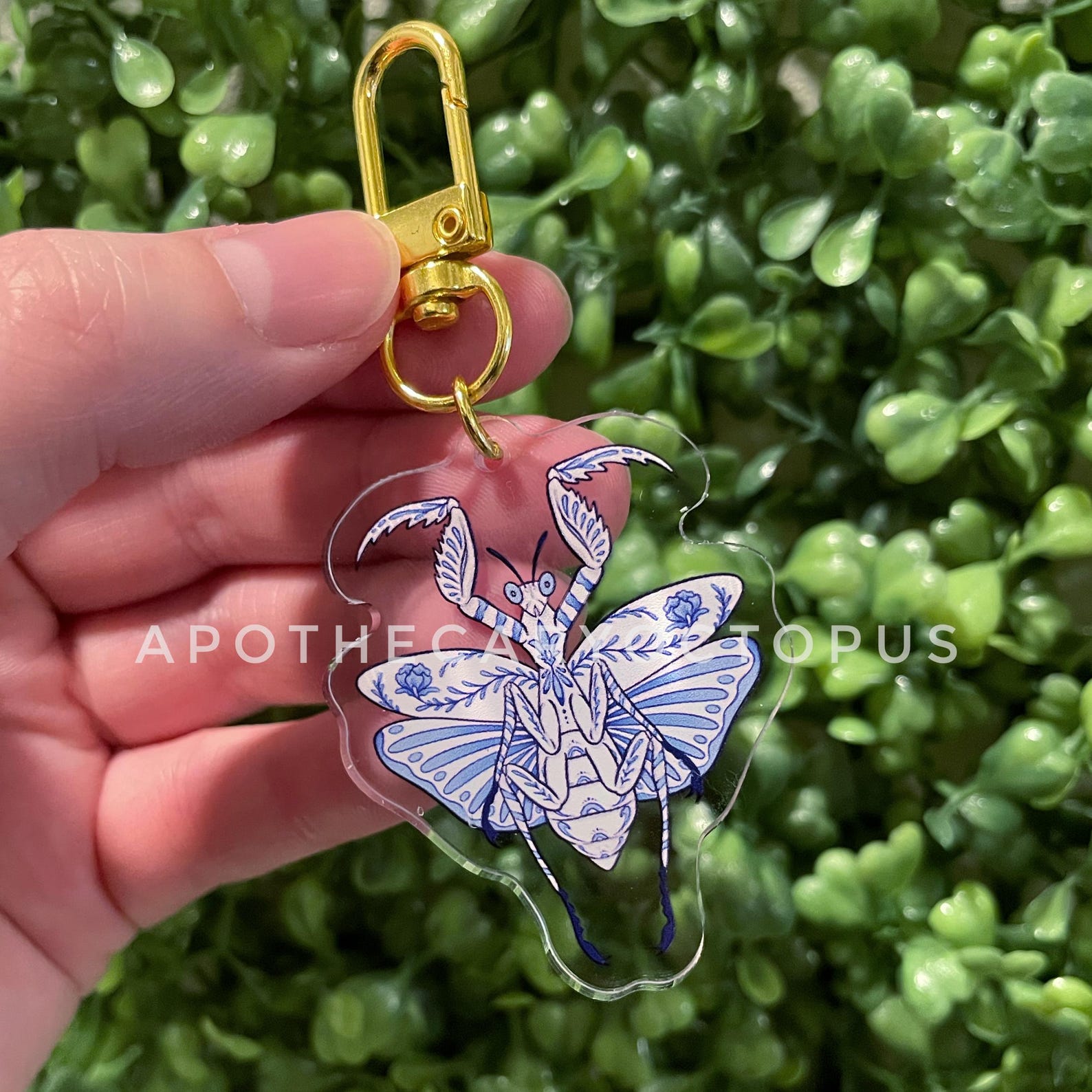 Mystery Porcelain Insect Keychains | 2 Inch Acrylic Charms - Etsy
