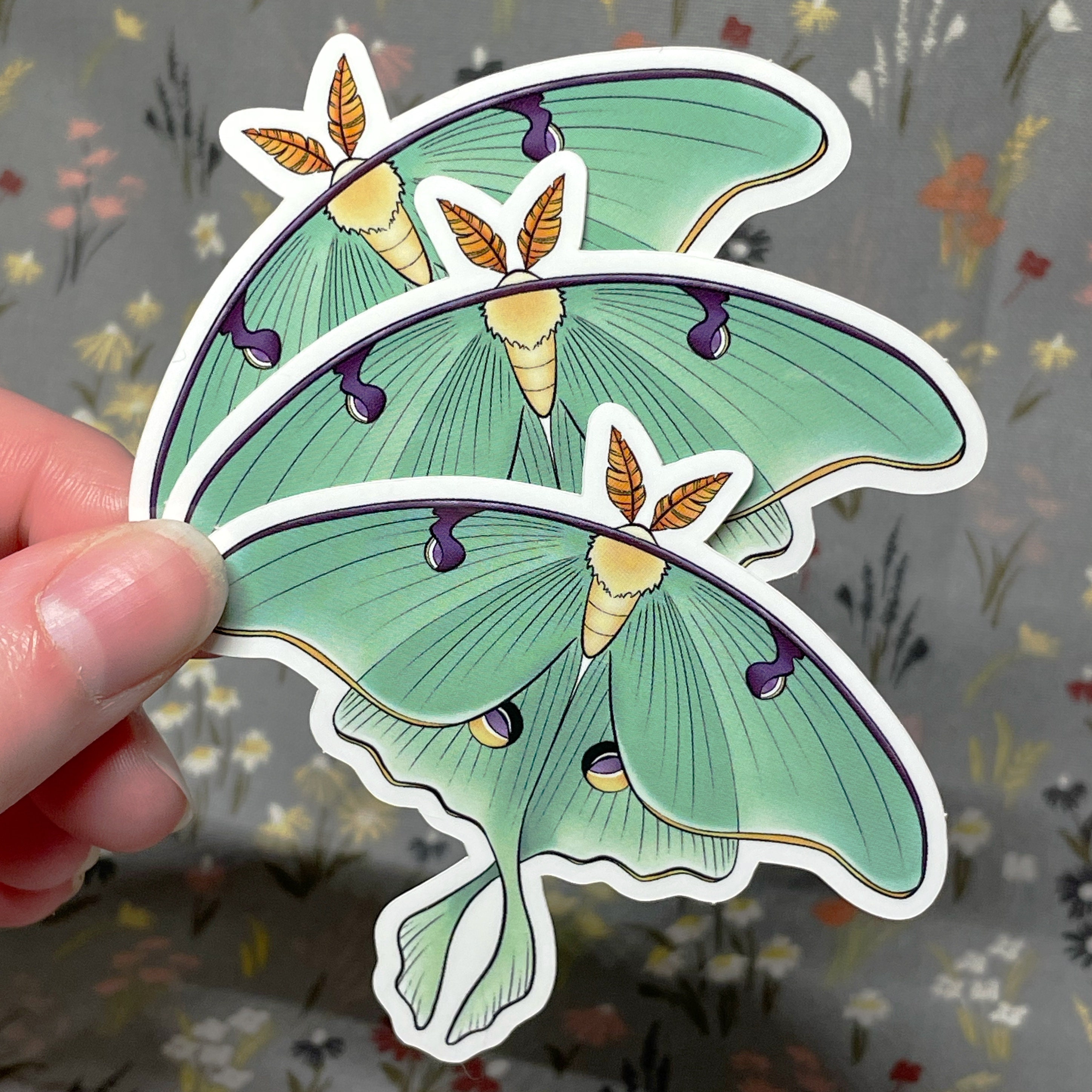 Luna Moth Sticker 3 Sticker Vinyl Stickers - Etsy