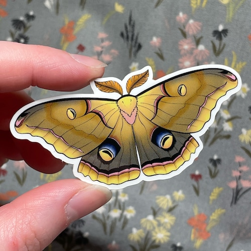 Luna Moth Sticker 3 Sticker Vinyl Stickers - Etsy