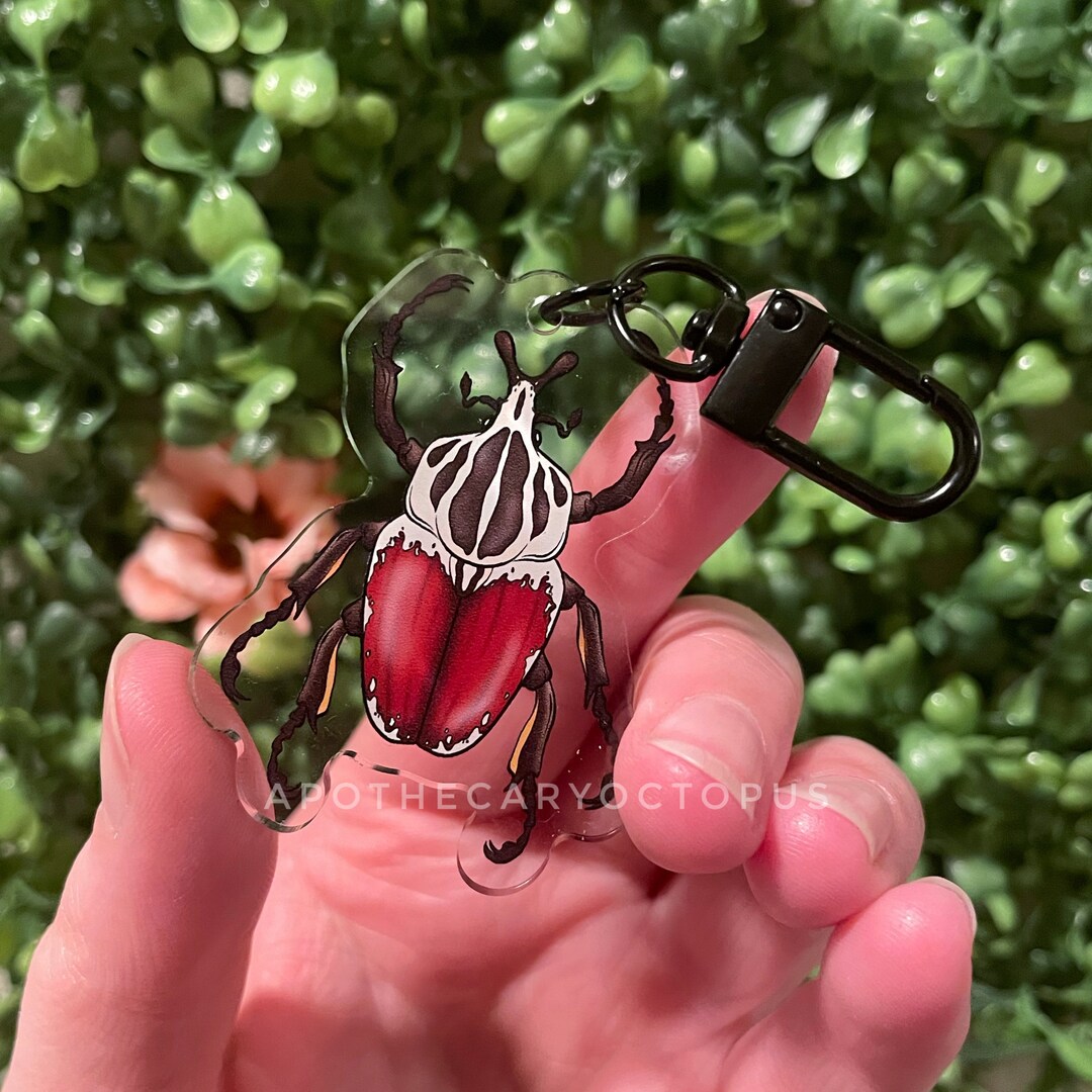 Goliath Beetle Keychain | 2" Mini Charm - Etsy