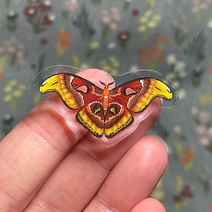 Bug Pin Collection | Moth | Beetle | Acrylic Pins - Etsy
