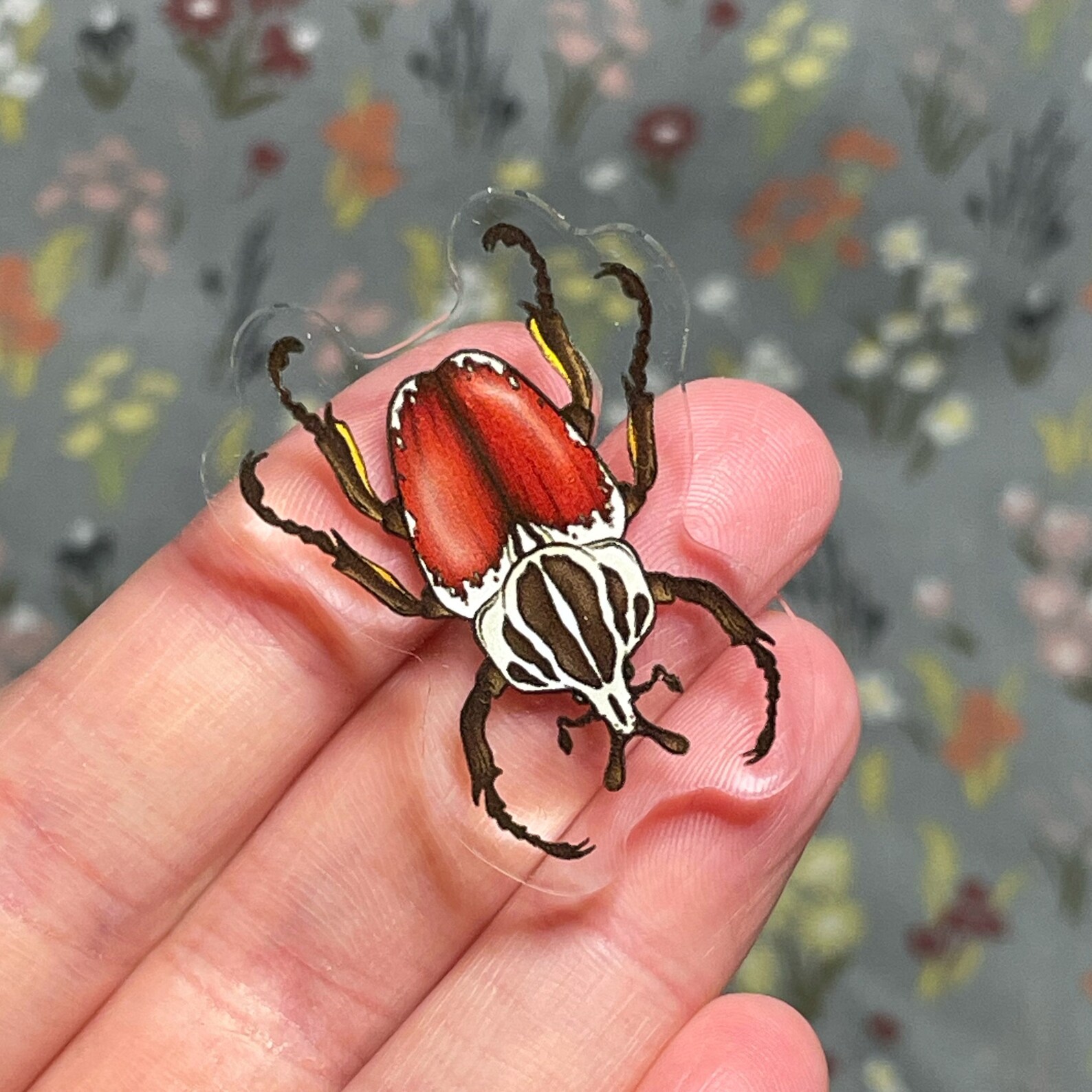 Bug Pin Collection Moth Beetle Acrylic Pins - Etsy