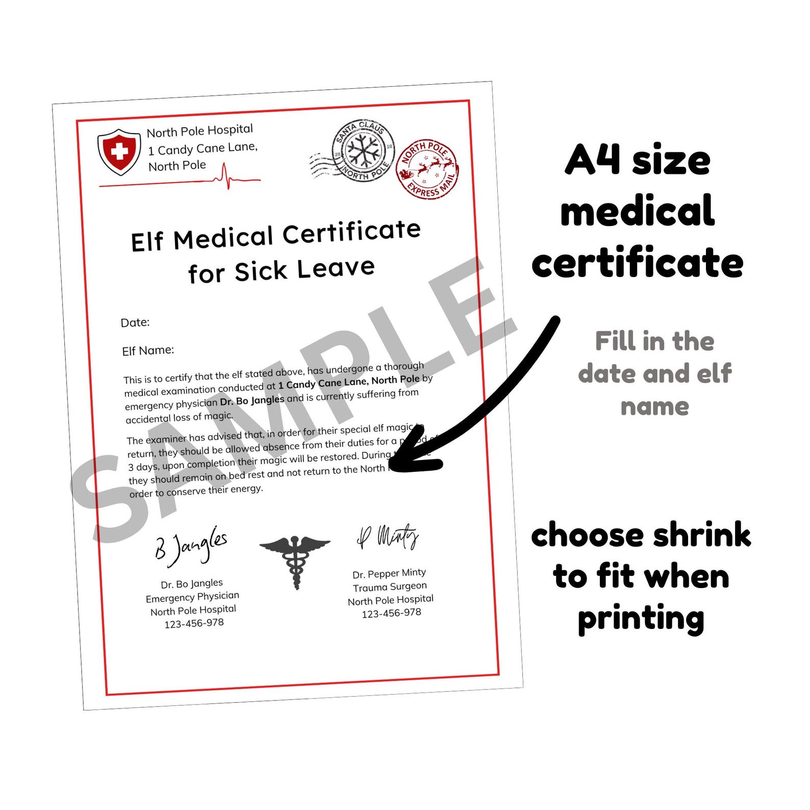 ELF Medical Certificate | North Pole Hospital | Sick Leave - Etsy
