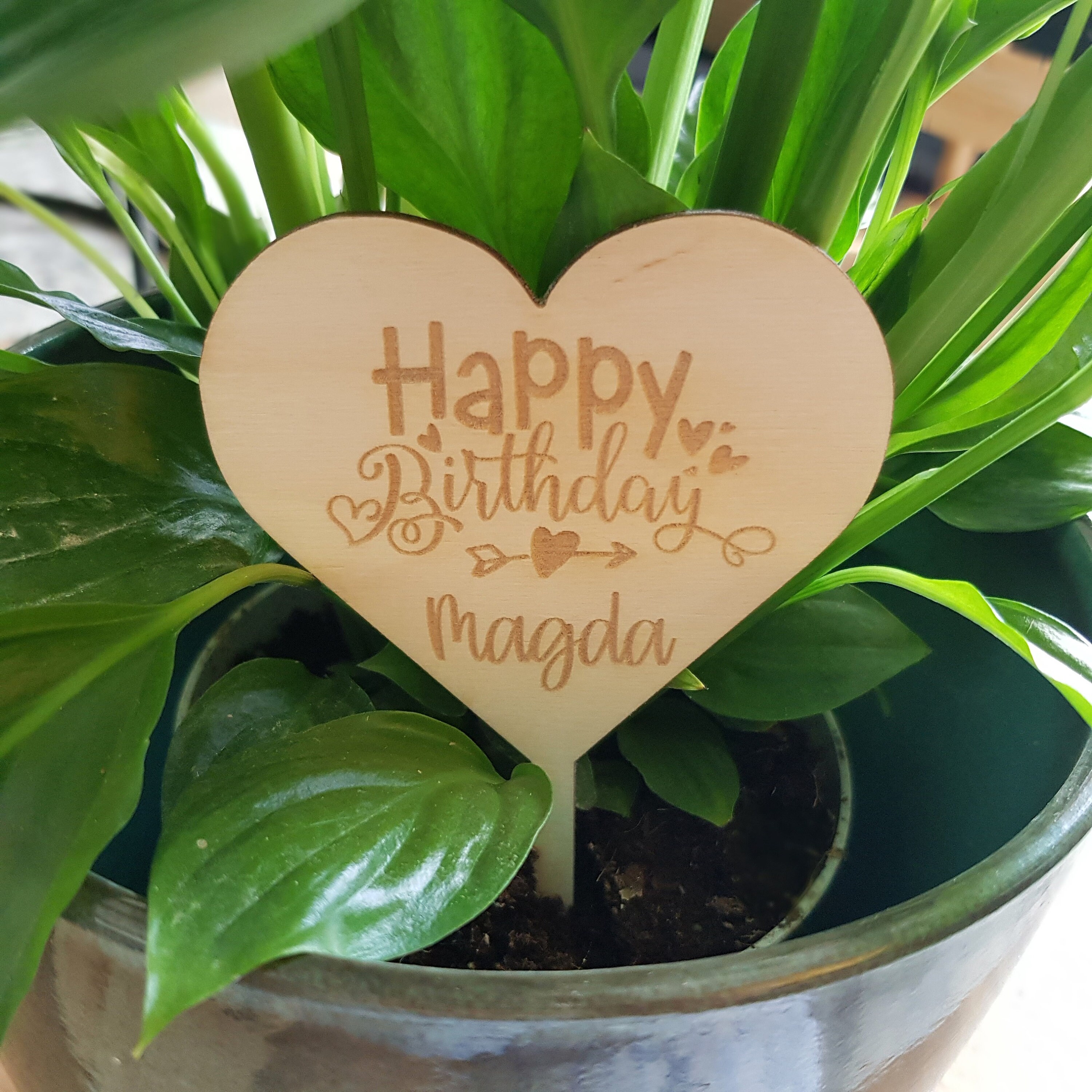 Personalised Wood Plant Gift Tag Plant Label Laser Cut and - Etsy UK