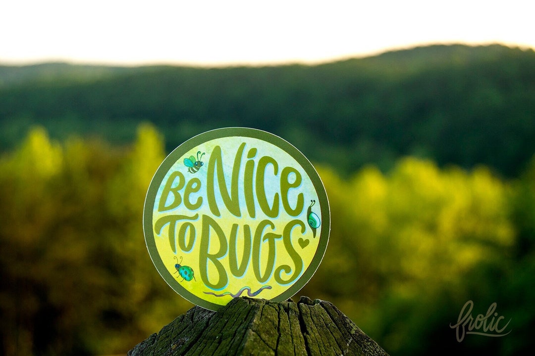 Be Nice to Bugs Vinyl Sticker - Etsy