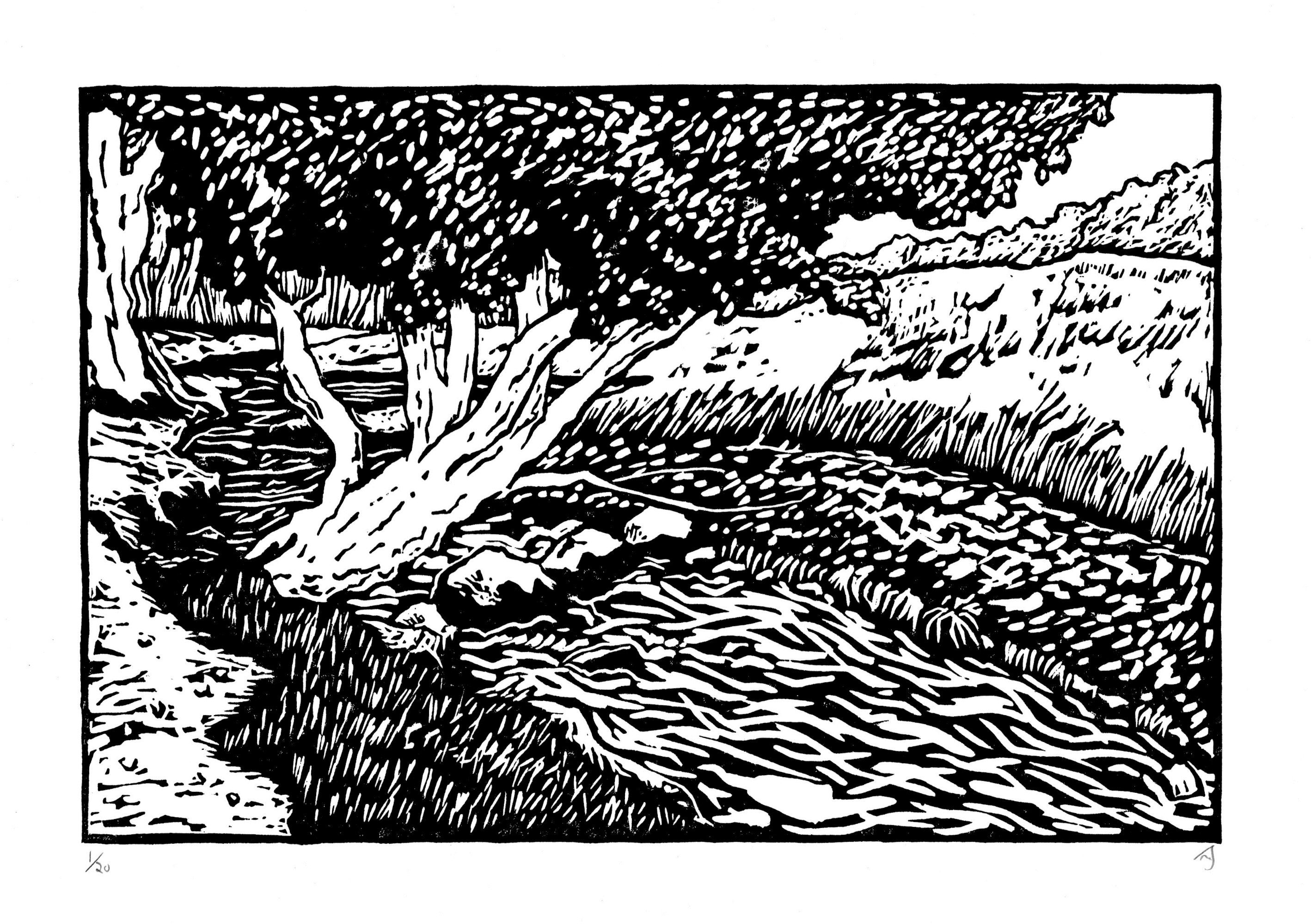 Landscape Linocut Print With Tree Overhanging A Stream, A4 Black and ...
