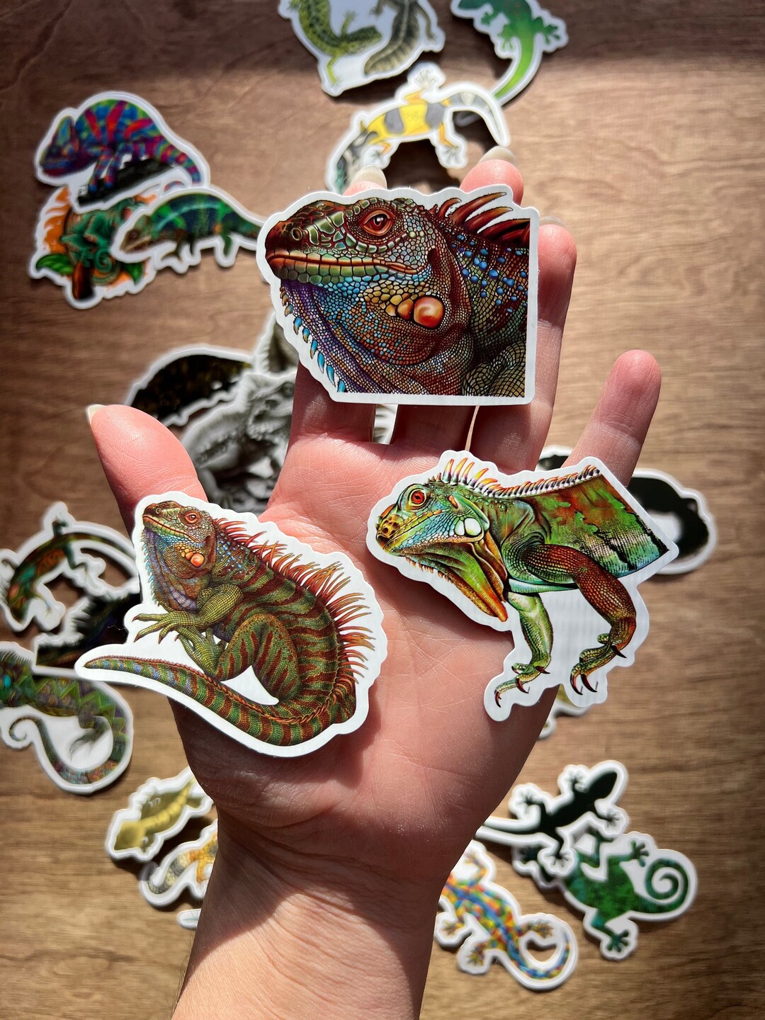 Chameleon / Iguana Sticker Pack (choice Qty 3) - Etsy