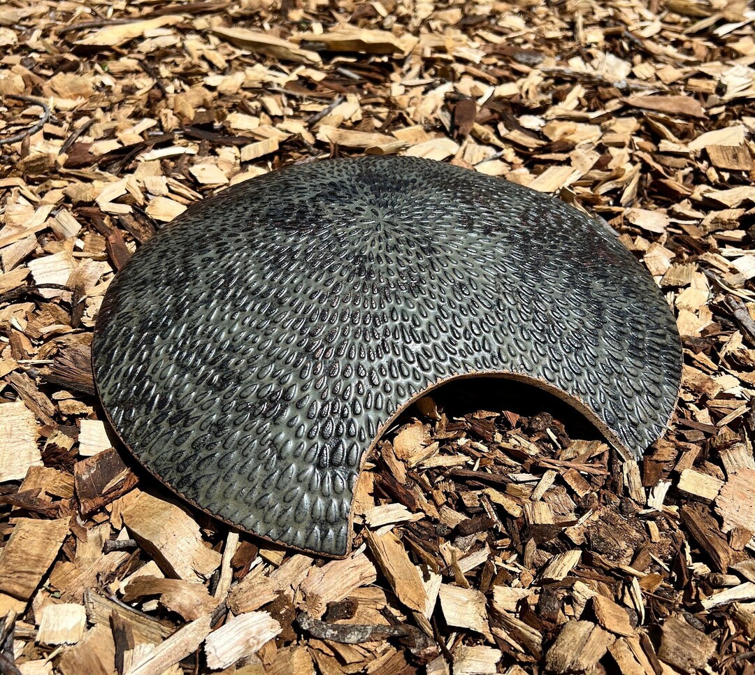 Critter Dome (xlarge) - Reptile, Hamster, Axolotl, Fish, Frog, Spider ...