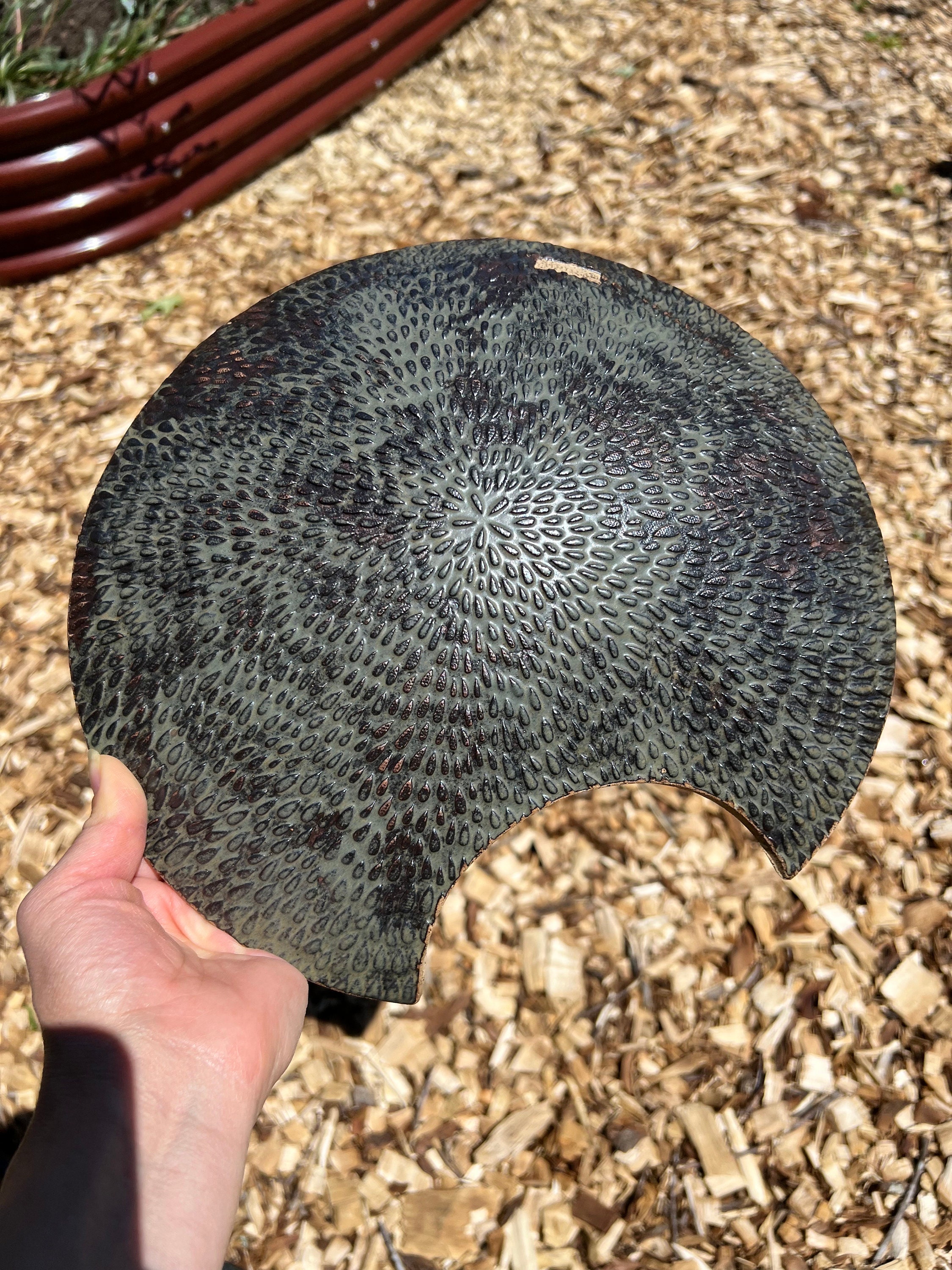 Critter Dome xlarge Reptile, Hamster, Axolotl, Fish, Frog, Spider, Hide ...