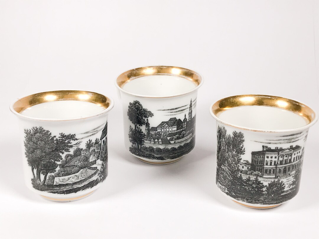 Three Antique Cups Transfer Print 19th Century With Town Views Hradisch ...