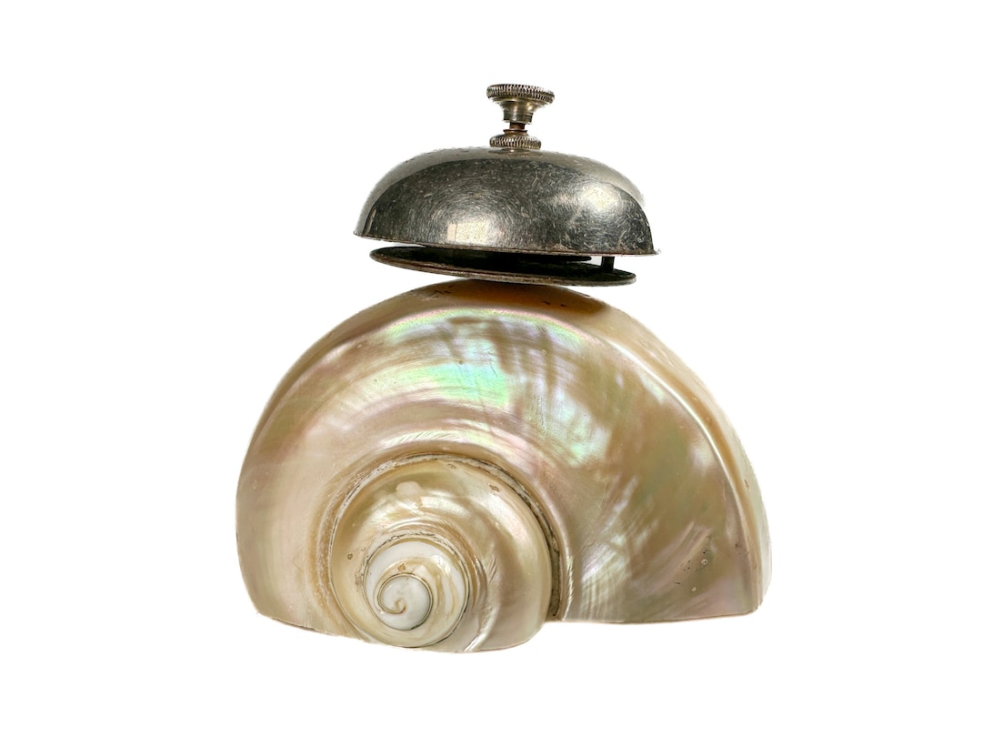 Vintage Table Bell Made of Snail Shell Around 1920s Curiosity Mother-of ...
