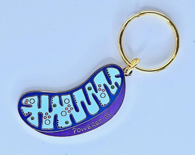 Microbe Key Chain (BLACK) Microbiome, Biology Key Ring, Microbiologist ...