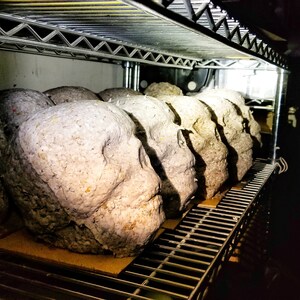 Paper Fire Pit Skull for Outdoor Wood Fire Pit Fun. - Etsy