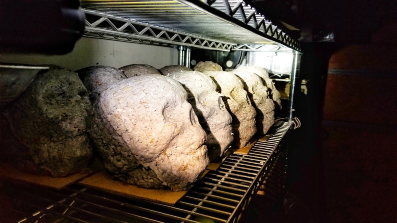 Paper Fire Pit Skull for Outdoor Wood Fire Pit Fun. - Etsy