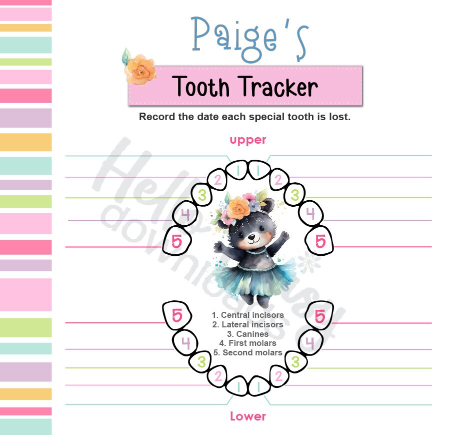 Tooth Tracker + Receipt for Tooth Fairy | Record Lost Teeth & Leave ...