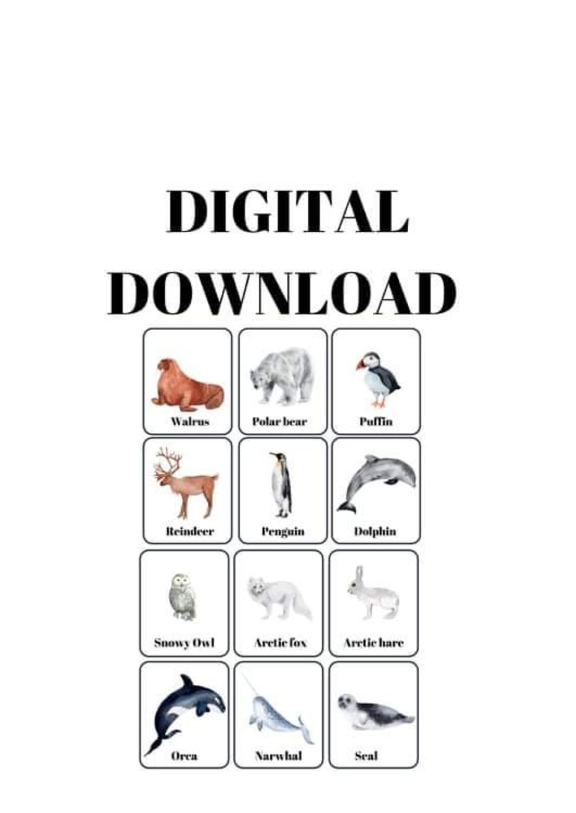 Arctic Polar Animals, Montessori Cards, Flash Cards, Educational Cards ...