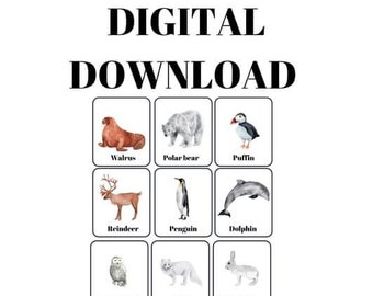 Silhouette Matching Plants and Animals of the Tundra - Etsy