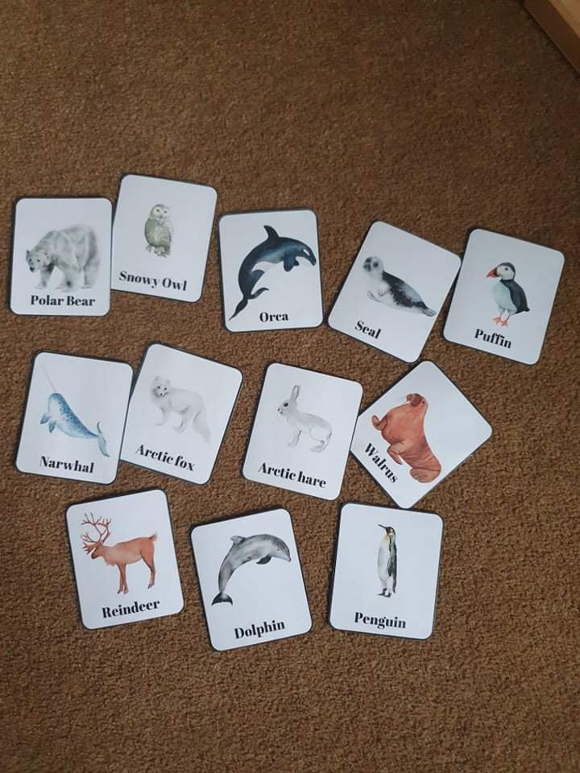 Arctic Polar Animals, Montessori Cards, Flash Cards, Educational Cards ...