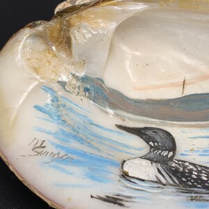 Vintage Hand Painted Shell Wheeler's Pearly Mussel Shell Black Sea Fan ...