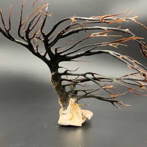 Vintage Hand Painted Shell Wheeler's Pearly Mussel Shell Black Sea Fan ...