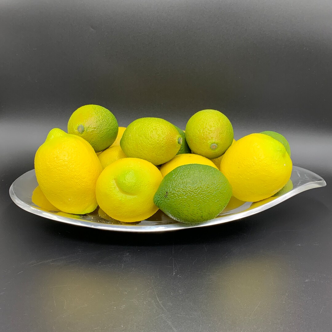 Large Biomorphic Silver Platter for Nambé | Limited Edition | 701 Nambé ...