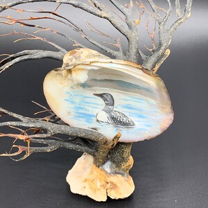 Vintage Hand Painted Shell Wheeler's Pearly Mussel Shell Black Sea Fan ...