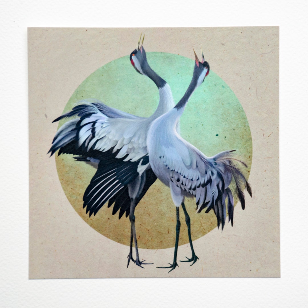 Common Crane Art Print - Etsy