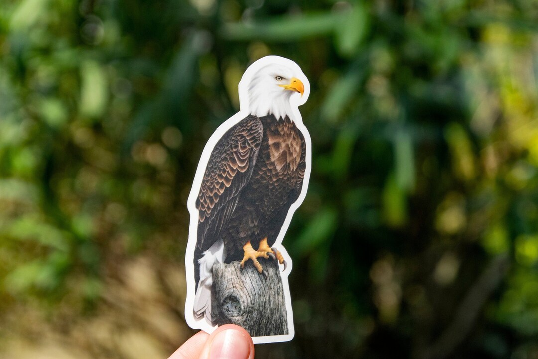 Bald Eagle Sticker Matte - Etsy